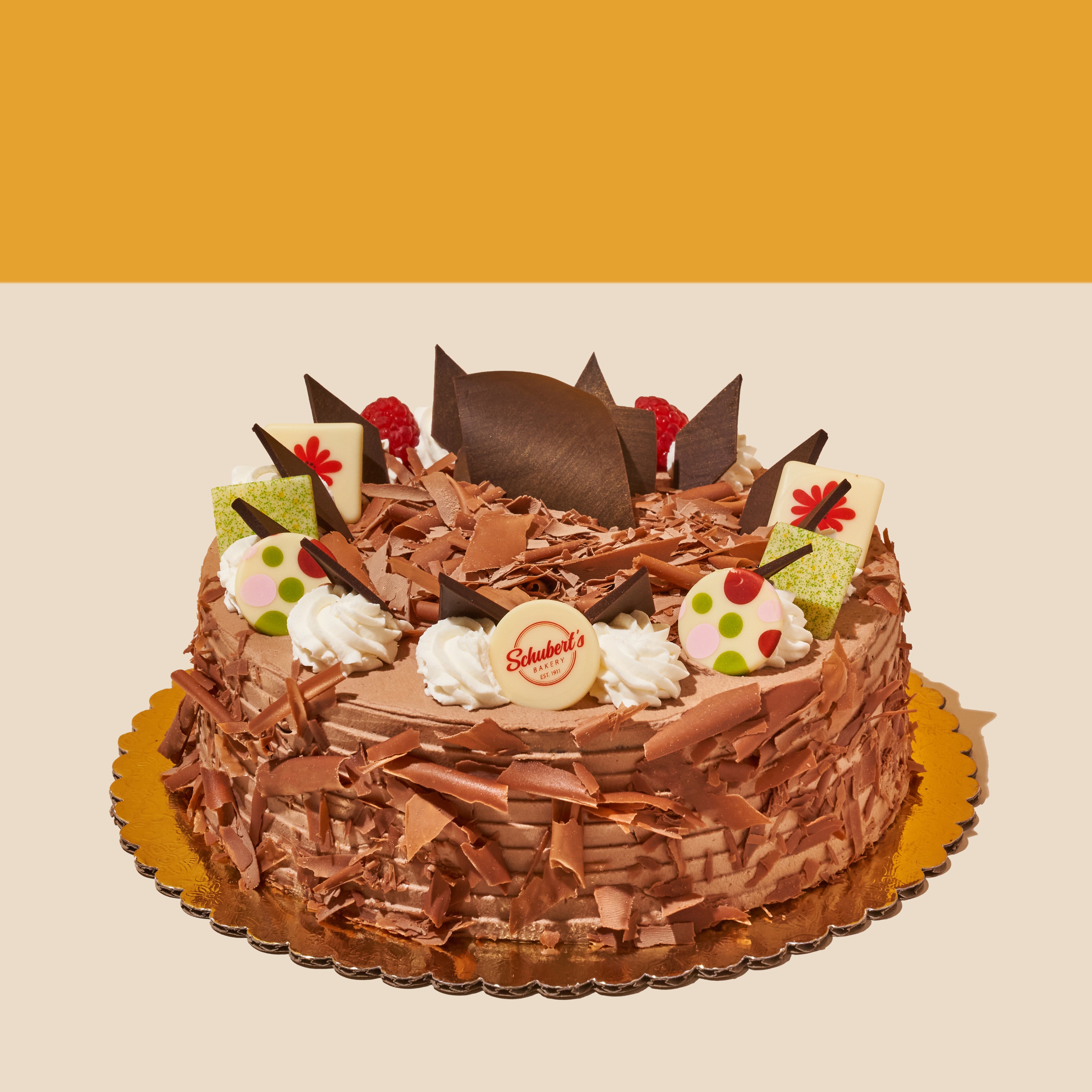 Chocolate Mousse with Whipped Cream Cake – Schubert's Bakery